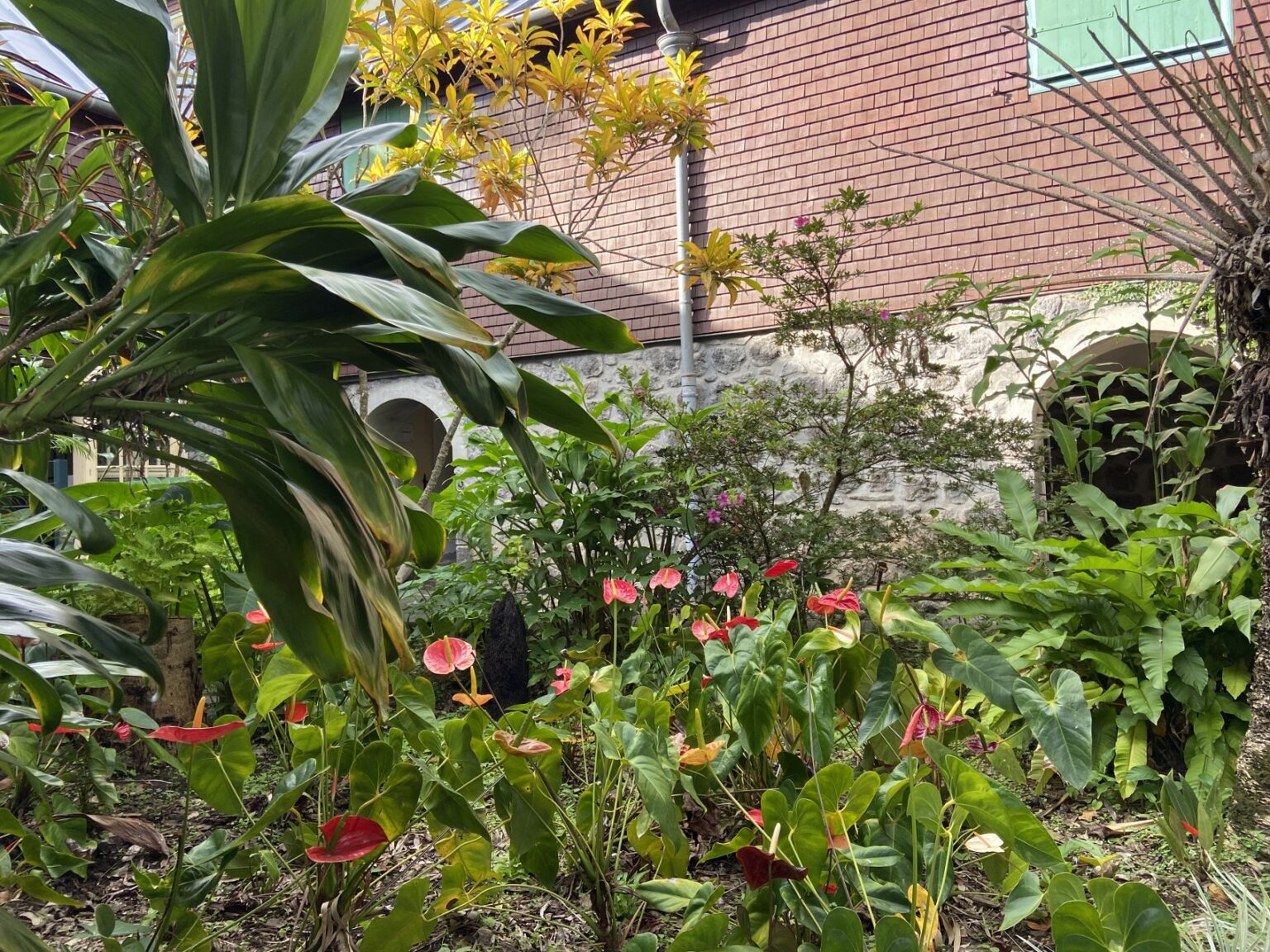 Jardin Botanique des Mascarins Saint-Leu | Visite & infos